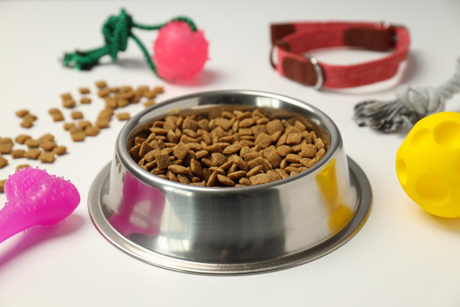 Comment choisir les meilleures croquettes vétérinaires pour votre chien ...